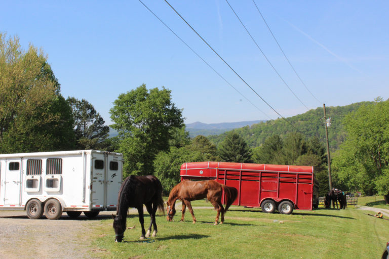 Horse Stables & Camping – Lazy Horse Retreat